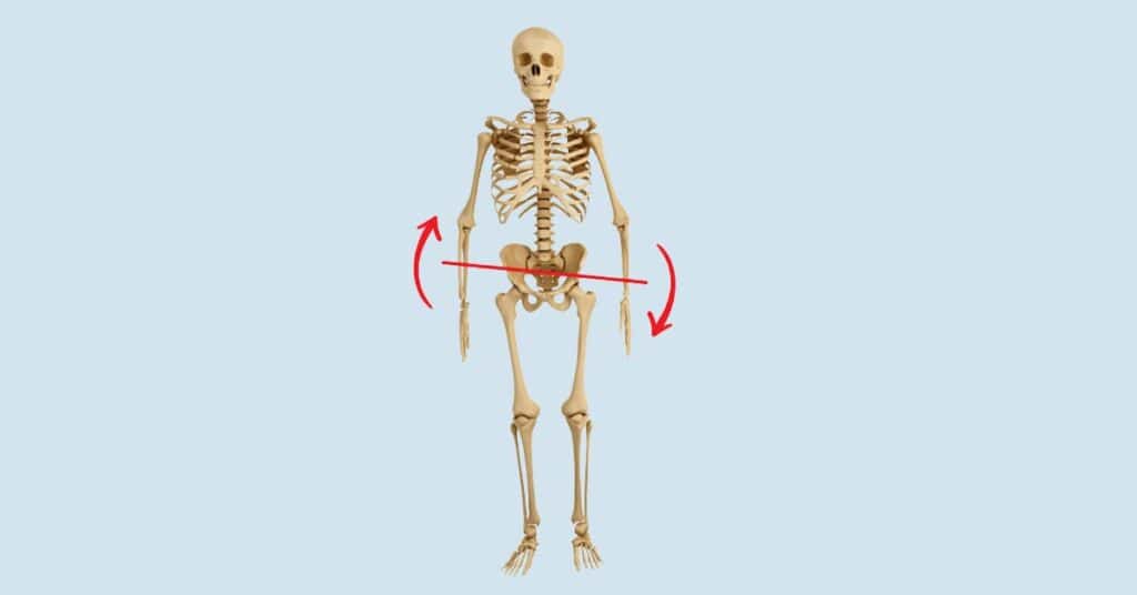Lateral Pelvic Tilt: Causes, Symptoms & Solutions | Dr. Body Gadget